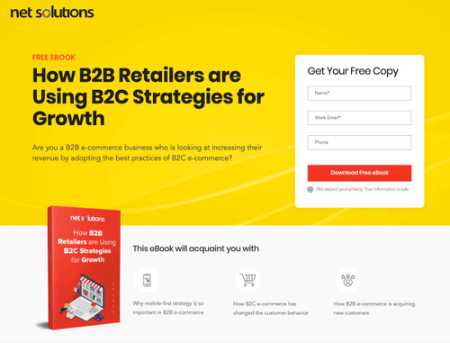 Net Solutions Ebook Landing Page | ConvertFlow Net Solutions Ebook Landing Page | ConvertFlow